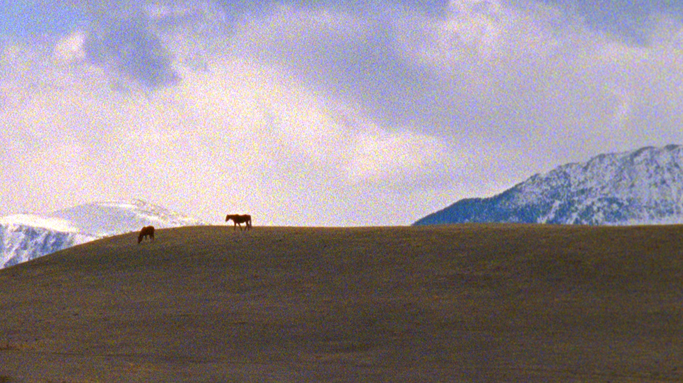 TFF 2014 Trailer of the Day: ‘Fishtail’ | Tribeca