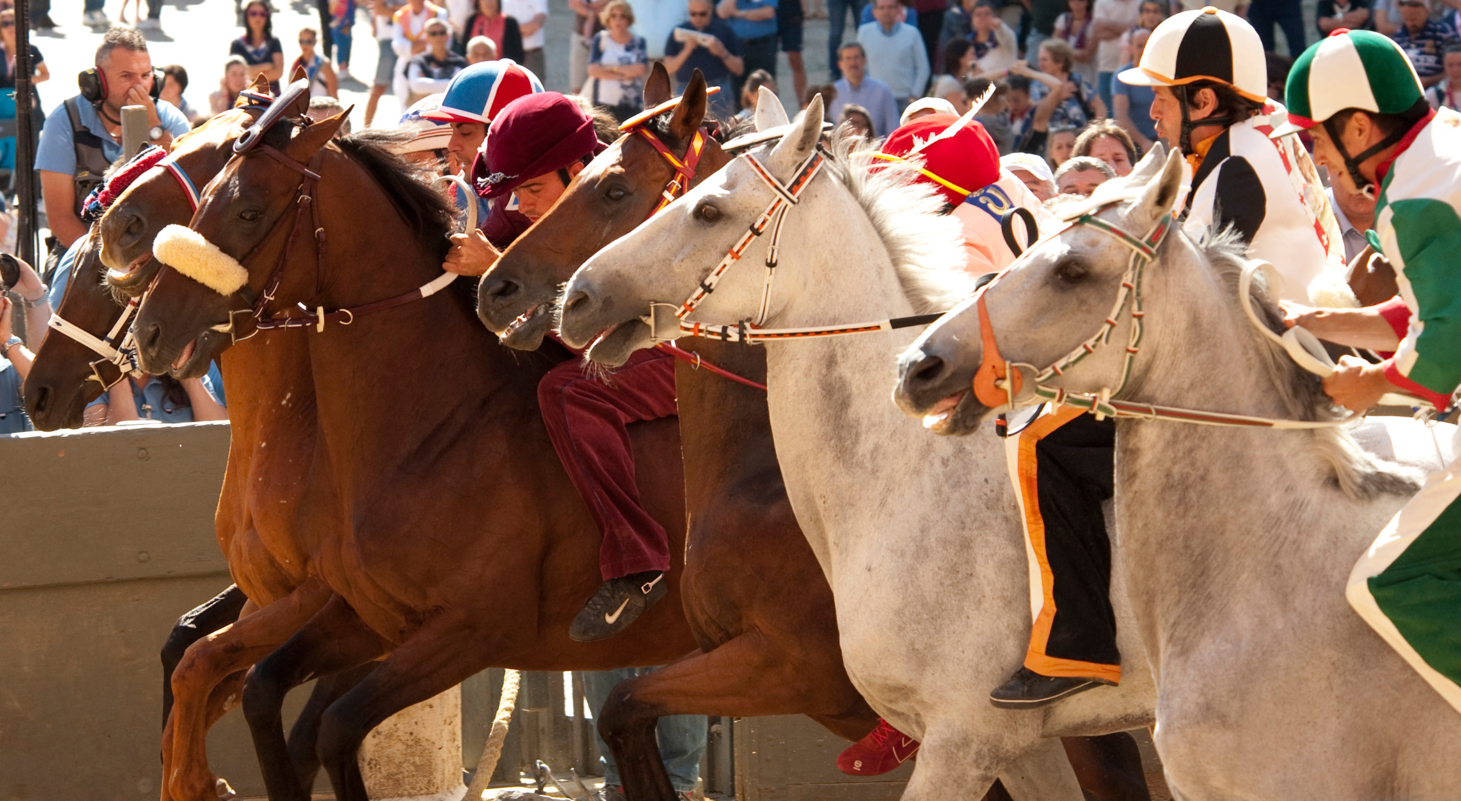 Watch: PALIO Trailer | Tribeca