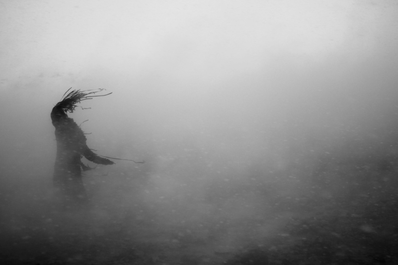 Iceland-Based Multimedia Artist Puts the Death of VHS to Hauntingly ...