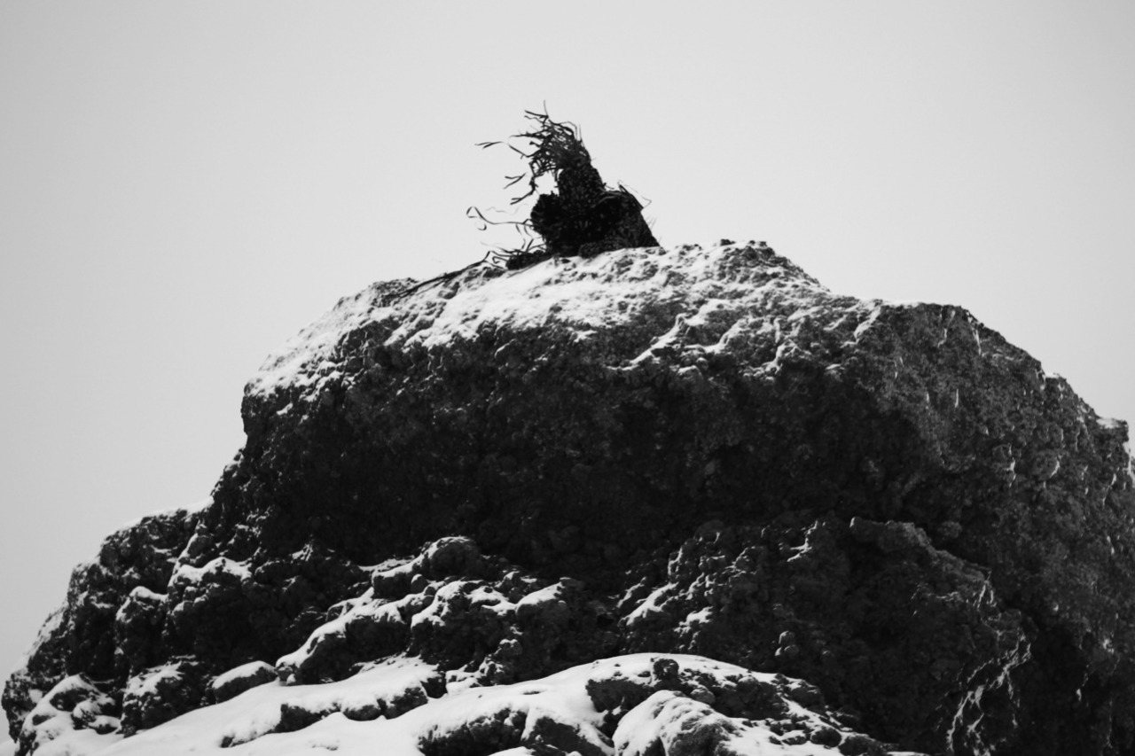 Iceland-Based Multimedia Artist Puts the Death of VHS to Hauntingly ...